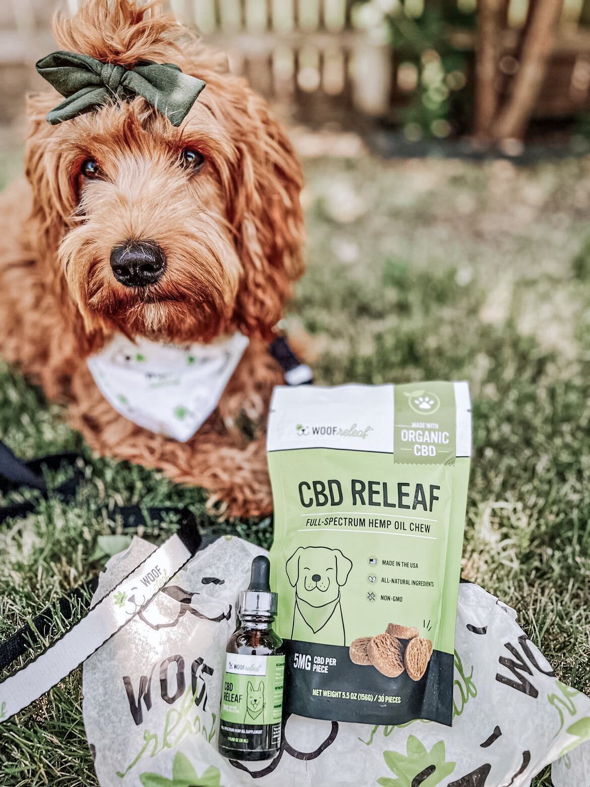 Ambassador Program – Woof Releaf - Woof Releaf